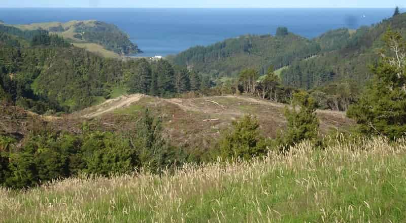 Property value - 56 Stoney Knowe, Oakura Coast - realestate.co.nz