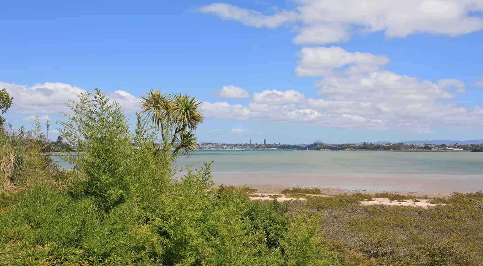 Property value - 11 Herbert Street, Hauraki - realestate.co.nz