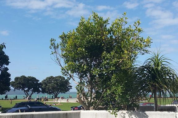 Property value - 2/39 Tamaki Drive, Mission Bay - realestate.co.nz