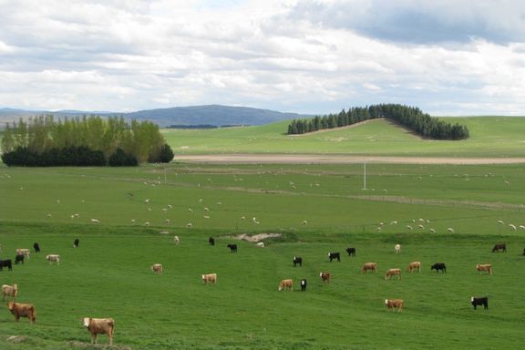 Property value - 561 Lauder Flat Road, Omakau - realestate.co.nz