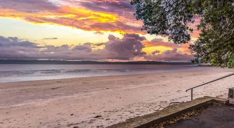 Property value - 11D Joan Street, Point Chevalier - realestate.co.nz