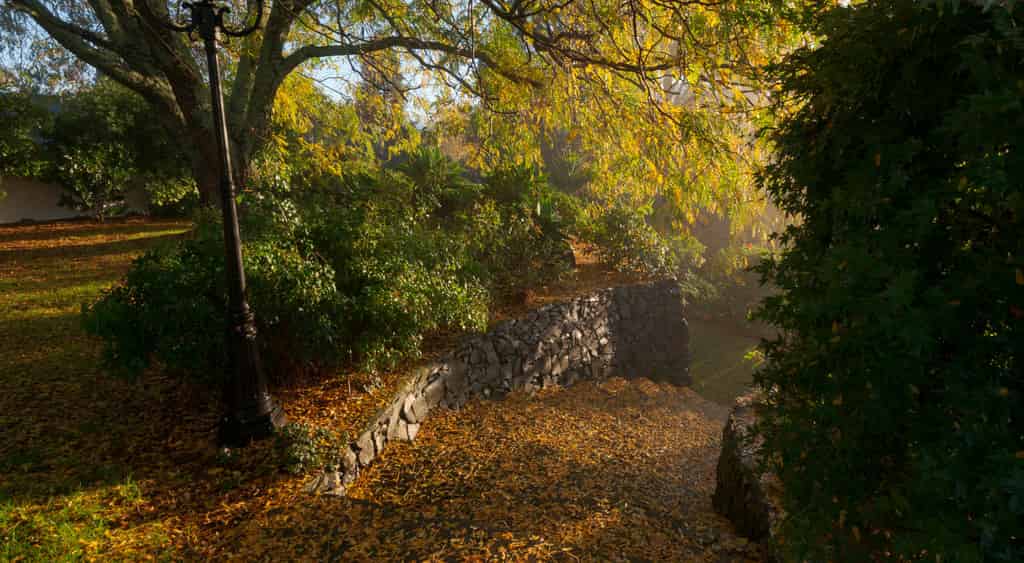 Property value - 8 Maruia Place, Te Puna - realestate.co.nz