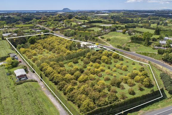 Property value - 19 Snodgrass Road, Whakamarama - realestate.co.nz