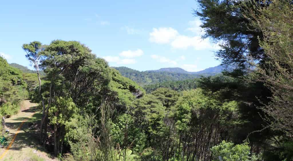 Property value - 2 Harpoon Hill, Great Barrier Island - realestate.co.nz