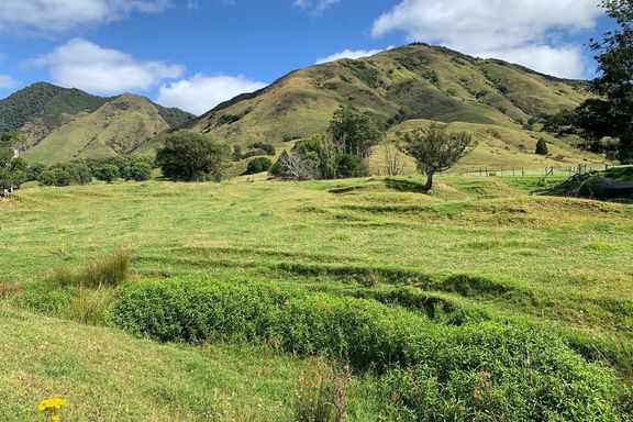 Property value - 999 Pawarenga Road, Herekino - realestate.co.nz