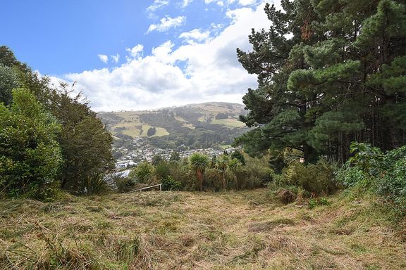 Property value - 188A Evans Street, Opoho - realestate.co.nz
