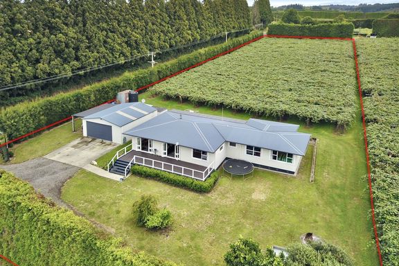 Property value - 882 Te Matai Road, Te Puke - realestate.co.nz