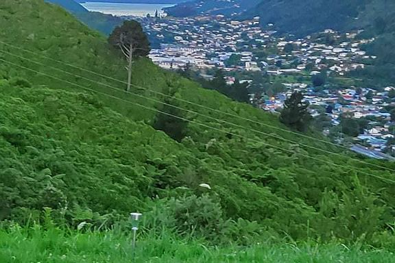 Property value - 264 State Highway 1, Levin - realestate.co.nz