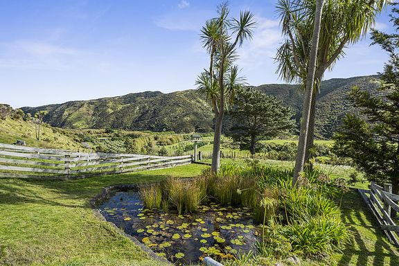 Property value - 1203 Coast Road, Pencarrow Head - realestate.co.nz