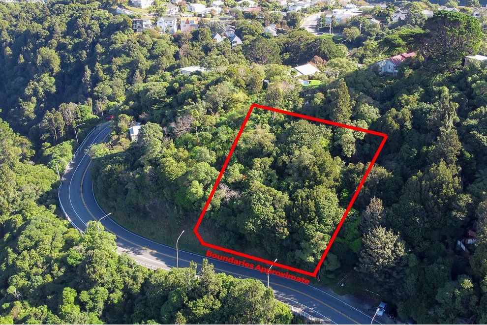 55 Ngaio Gorge Road, Ngaio, Wellington City - For Sale - realestate.co.nz