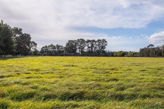 Property value - 23 Settlement Road, Greytown - realestate.co.nz