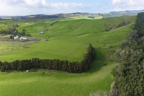 Property value - 160 McWatt Road, Waitakaruru - realestate.co.nz