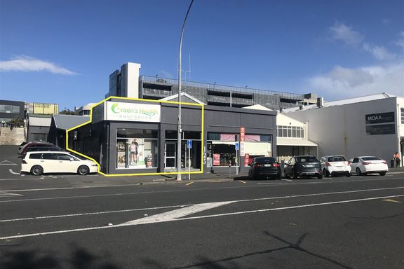 Property value - 125 Ward Street, Hamilton Central - realestate.co.nz