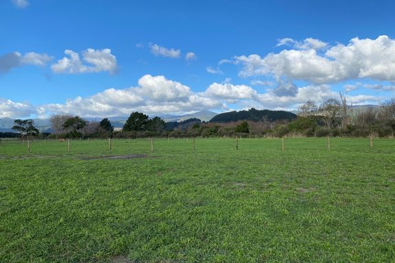 Property value - 48 Riverside Drive, Ohau - realestate.co.nz