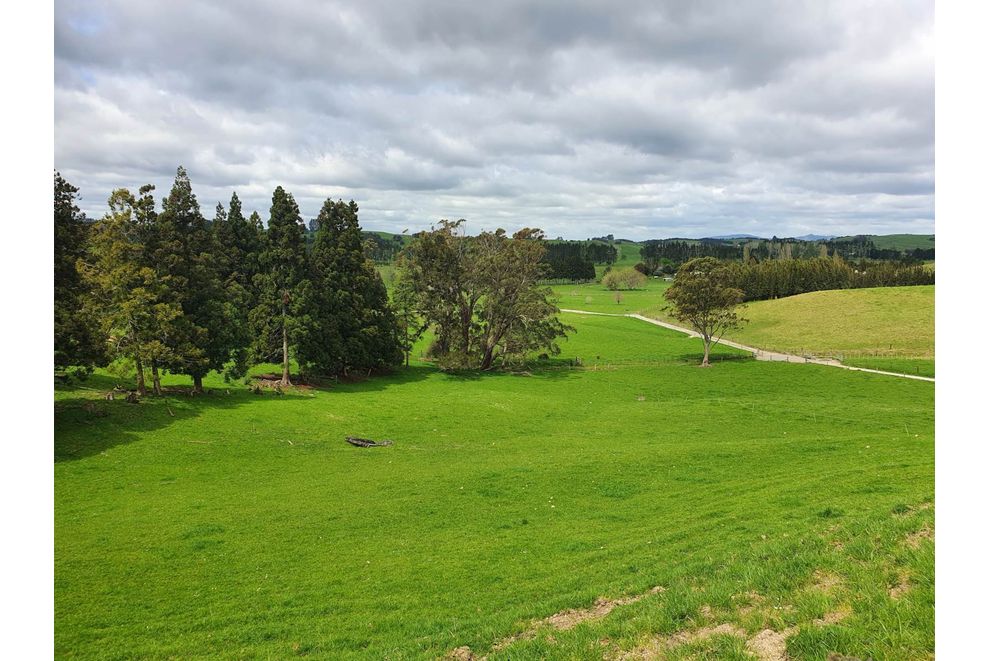 125C Hupara Road, Pakaraka, Far North, Northland - For Sale ...