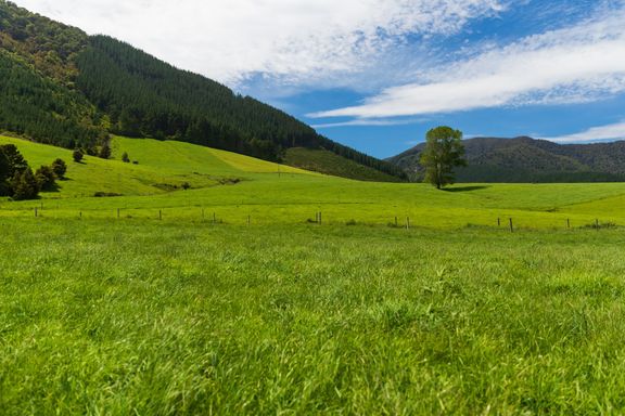 Property value - 212 Ronga Road, Rai Valley - realestate.co.nz