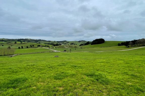 Property value - 29 Dunning Road, Tomarata - realestate.co.nz