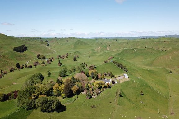 Property value - 701 Ruanui Road, Taihape and Surrounds - realestate.co.nz