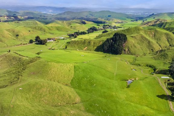 Property value - 517 Mangaoranga Road, Eketahuna - realestate.co.nz