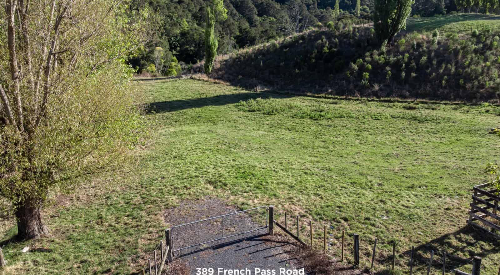 351, 389, French Pass Road, Cambridge, Waipa - For Sale - realestate.co.nz