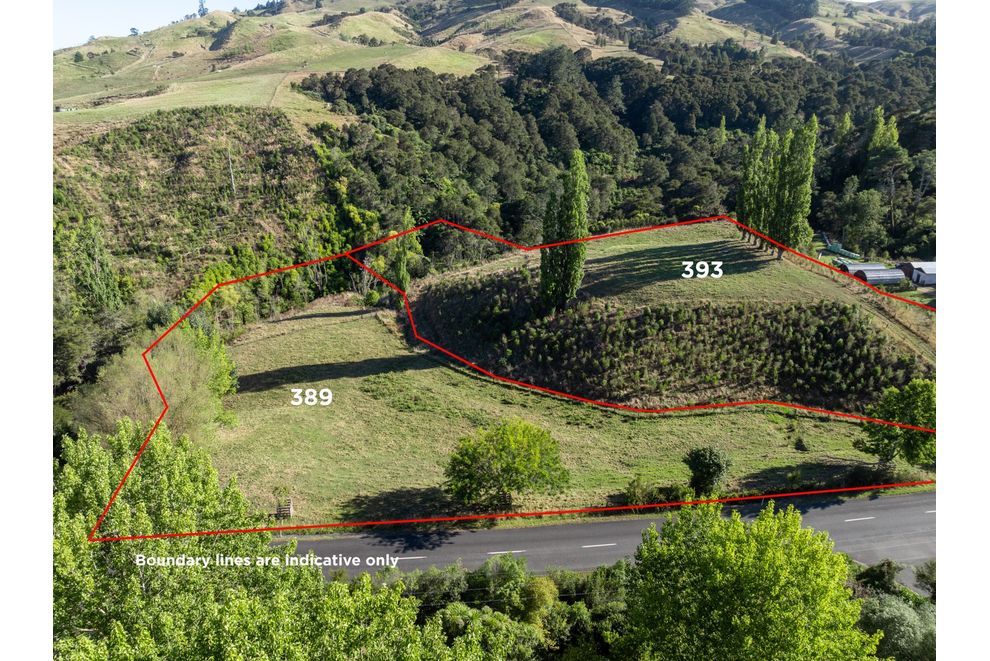 351, 389, French Pass Road, Cambridge, Waipa - For Sale - realestate.co.nz