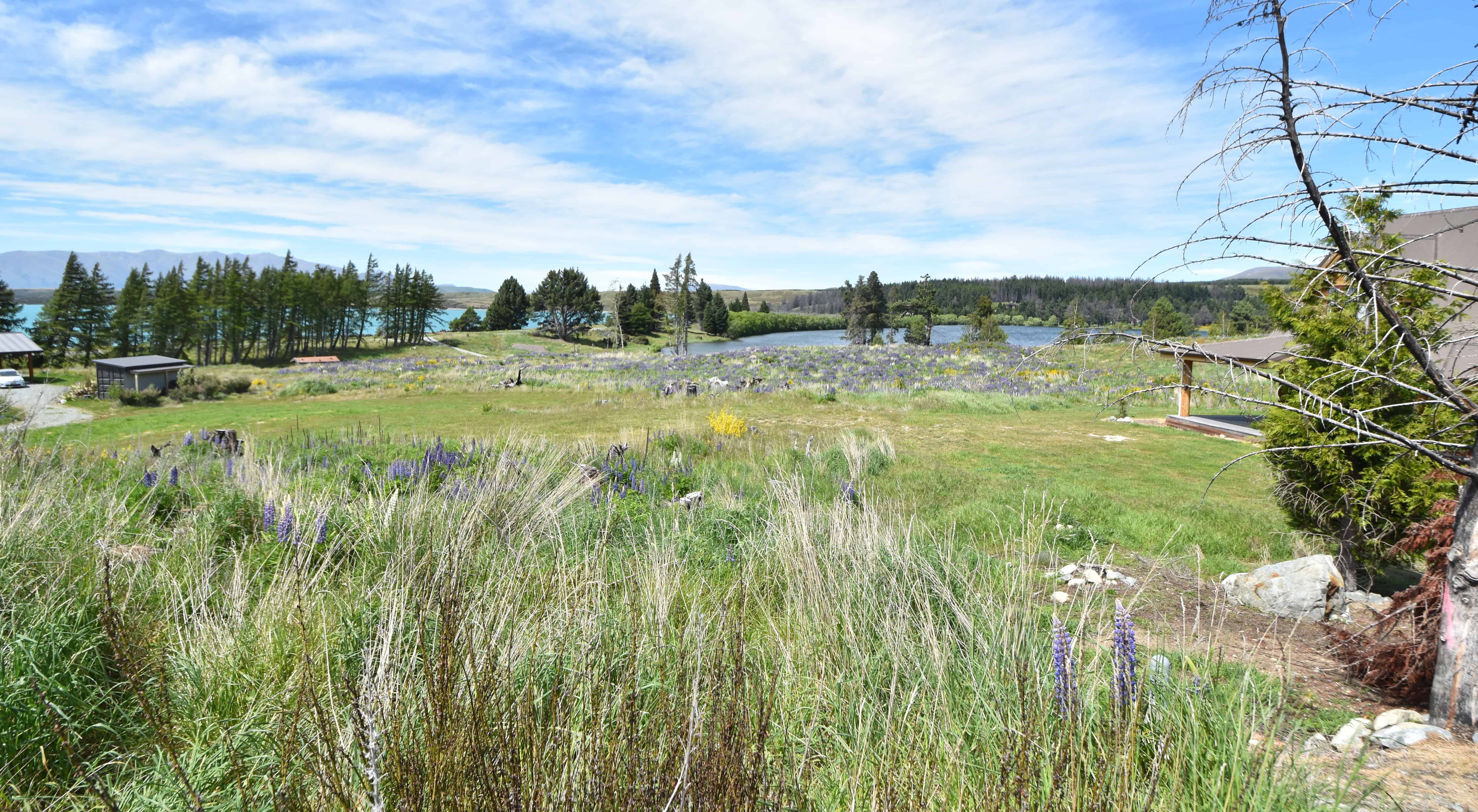 110D Ohau Drive, Lake Ohau, Waitaki - For Sale - realestate.co.nz