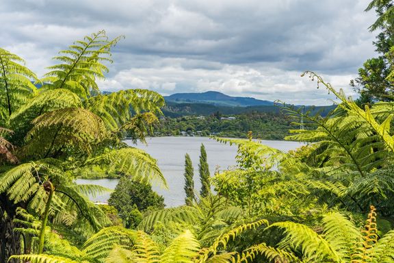 Property value - 23D Malvern Road, Okere Falls - realestate.co.nz