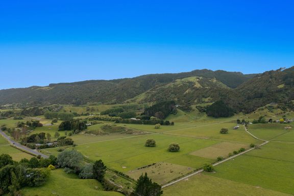 Property value - 579 Taneatua Road, Taneatua - realestate.co.nz