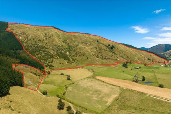 Sold - 3346 State Highway 6, Havelock - realestate.co.nz