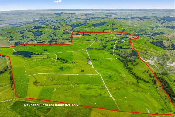 Property value - 150 Ovens Road, Matakohe - realestate.co.nz