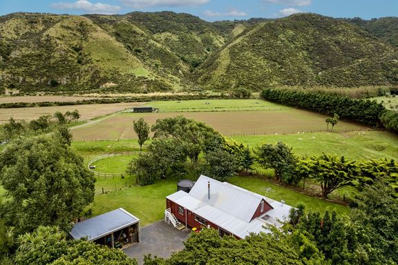 Property value - 1296 Coast Road, Pencarrow Head - realestate.co.nz