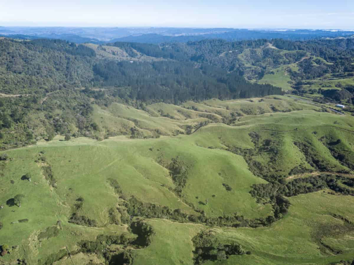 New Zealand Rural High Country Farms for Sale - realestate.co.nz