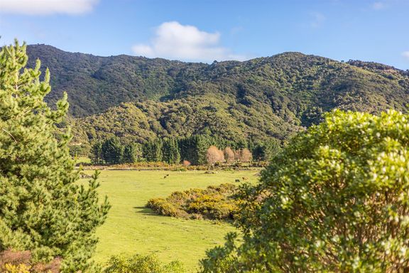 Property value - 675 Coast Road, Pencarrow Head - realestate.co.nz