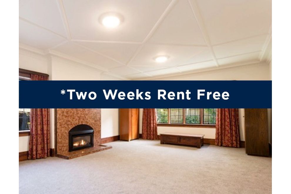 1/57 Manor Place , Dunedin Central, Dunedin City - For Rent ...