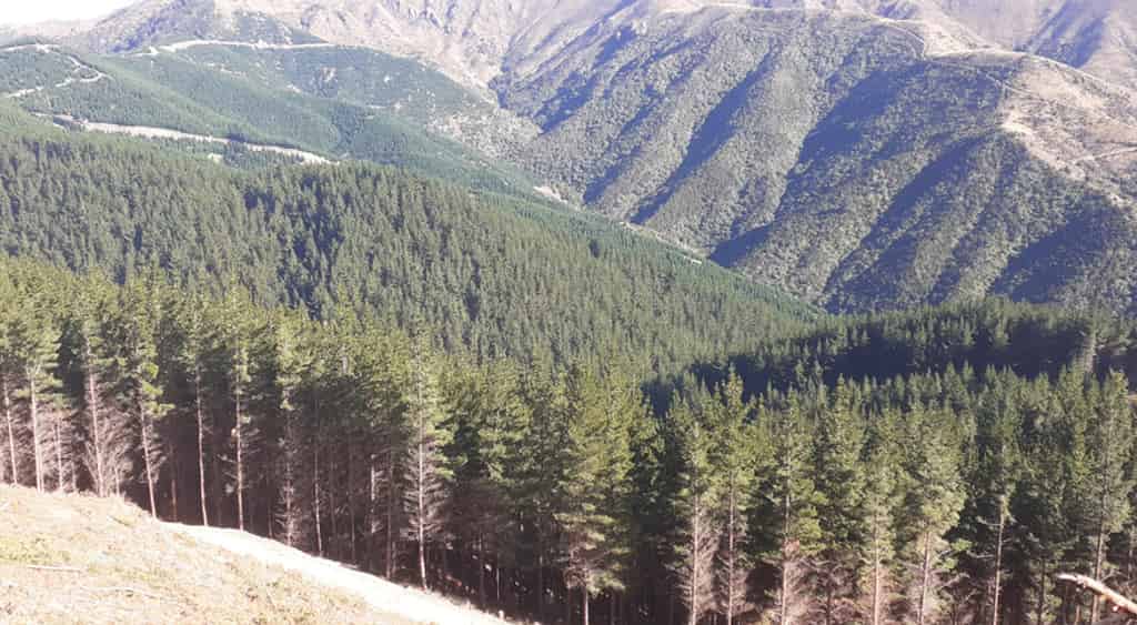 3586C Waihopai Valley Rd, Waihopai Valley, Marlborough - For Sale ...