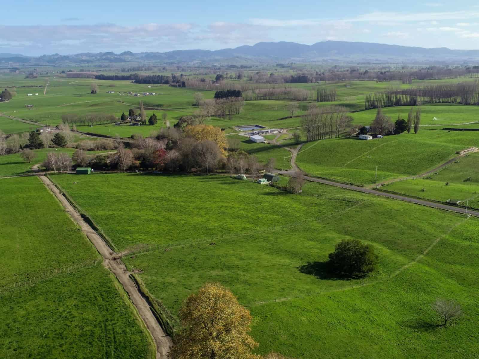 Reporoa and Surrounds Homes and Real Estate for Sale - realestate.co.nz