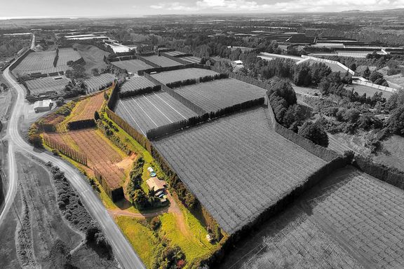 Property value - 547 Te Matai Road, Te Puke - realestate.co.nz