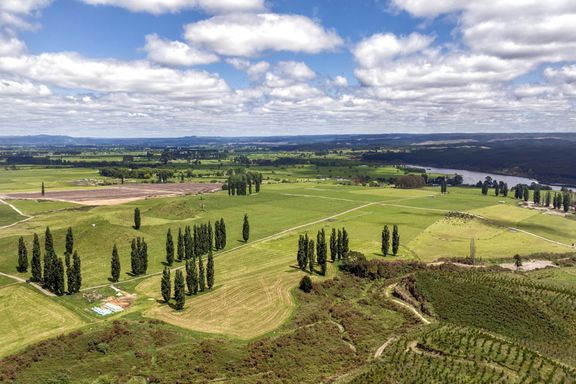 Sold - 3931 Galatea Road, Galatea - realestate.co.nz