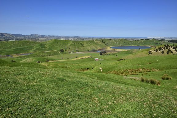 Property value - 503 Lake Road, Patutahi - realestate.co.nz