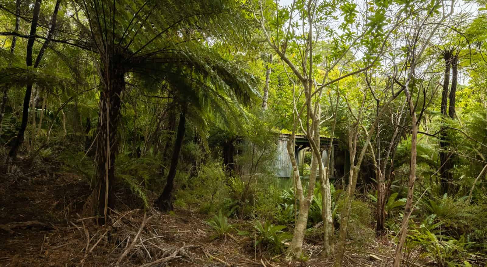 Lot 4 North West Bay, Pelorus Sounds, Marlborough - For Sale ...