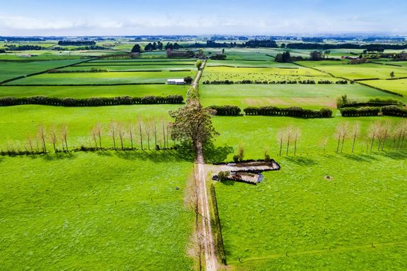 Property value - 997 Palmer Road, Kaponga - realestate.co.nz