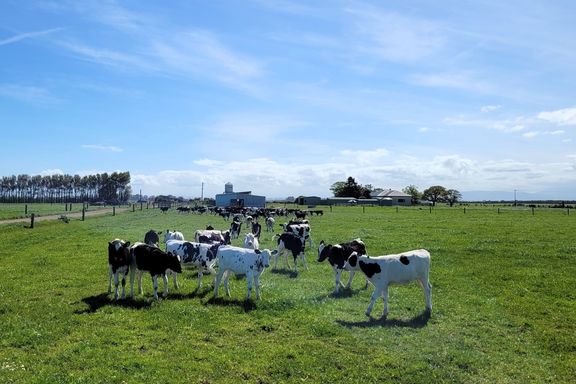 Property value - 57 Toner Road, Temuka - realestate.co.nz
