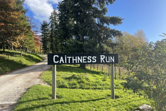 Property value - 2575 Dunback-morrisons Road, Waihemo - realestate.co.nz