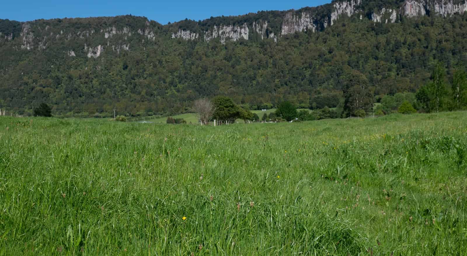 Apirana Road, Horohoro, Rotorua - For Sale - realestate.co.nz