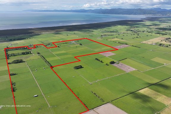 Property value - 1156 State Highway 25, Pipiroa - realestate.co.nz
