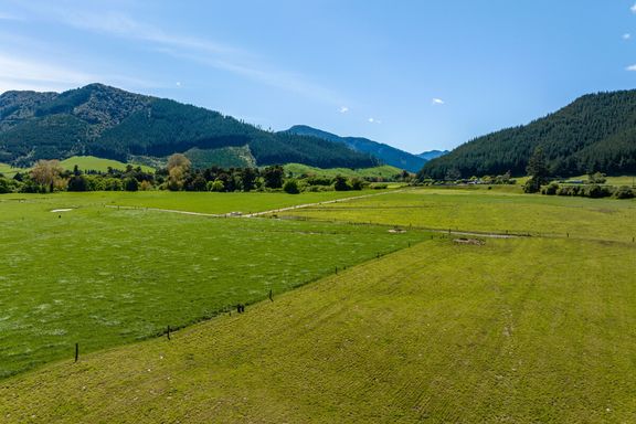 Property value - 99 Opouri Road, Rai Valley - realestate.co.nz