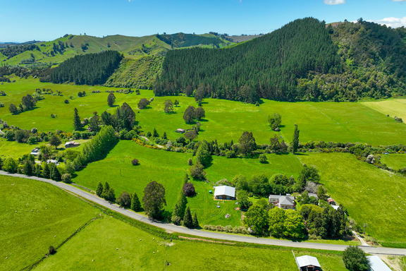 Property value - 866 Dovedale Road, Dovedale - realestate.co.nz