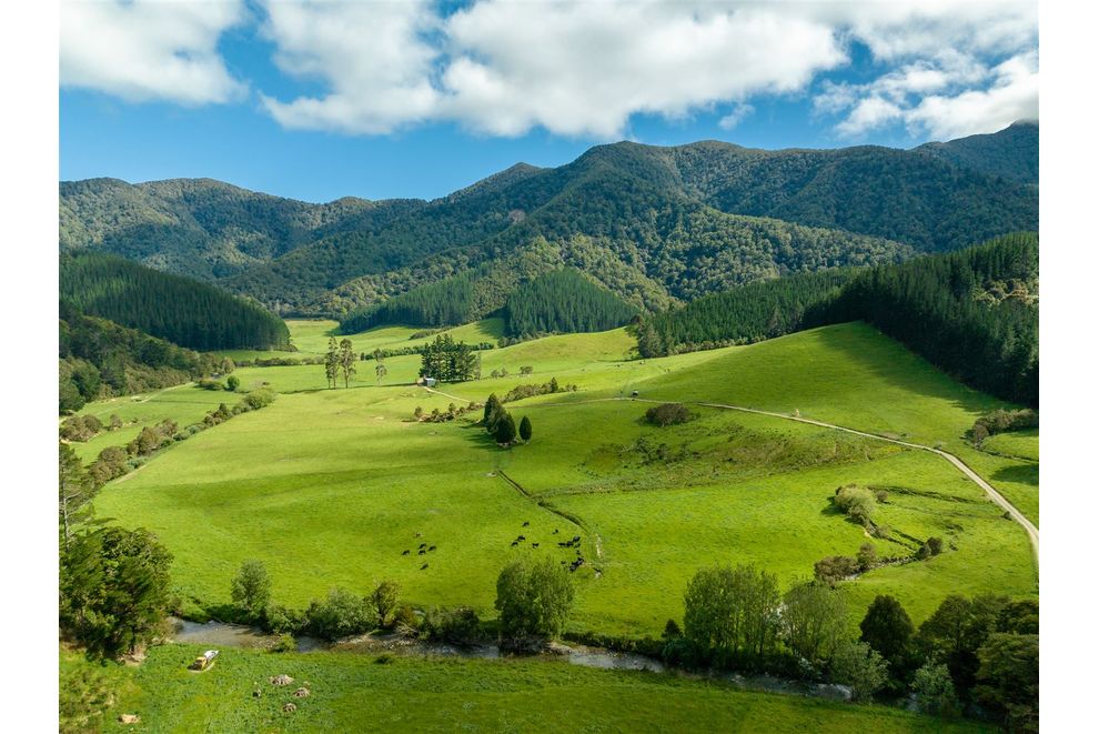 726 Tunakino Valley Road, Rai Valley, Marlborough - For Sale ...
