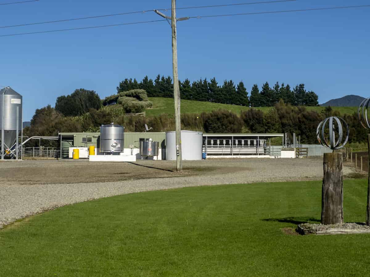 Manawatu / Whanganui Rural Dairy Farms for Sale - realestate.co.nz