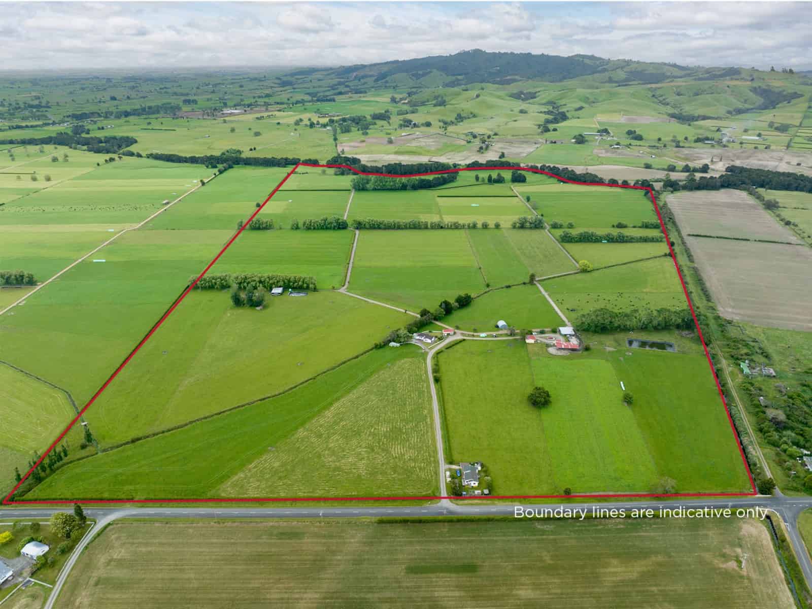 New Zealand Rural Dairy Farms for Sale - realestate.co.nz